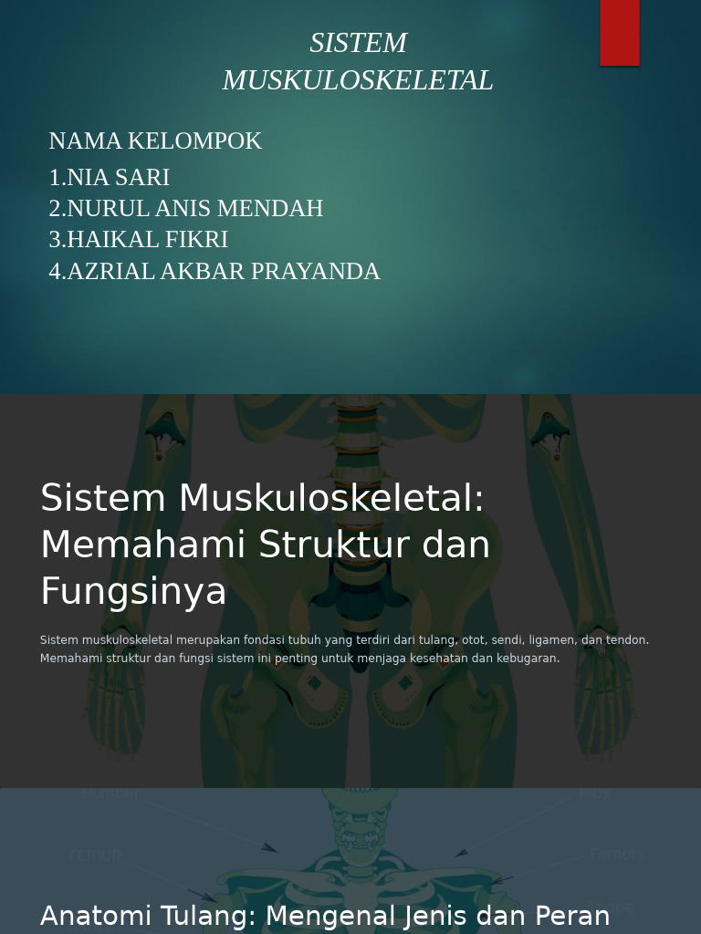 PPT Sistem Muskuloskeletal Memahami Struktur Dan Fungsinya[1] | PDF