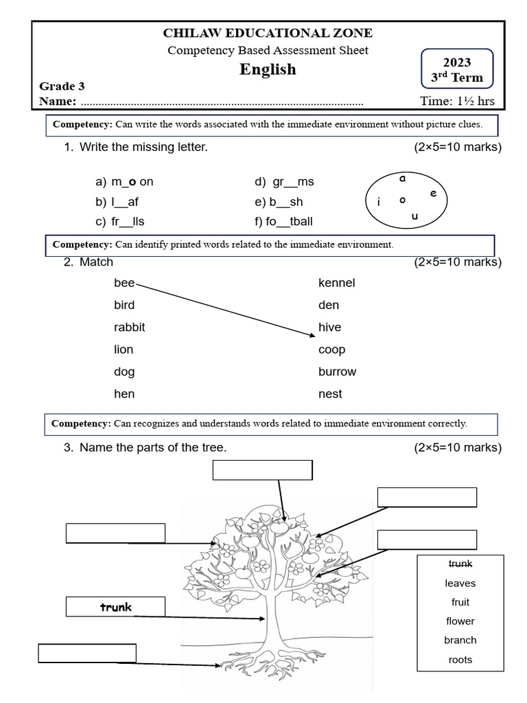 Grade 3 English Term 3 Assessment | PDF