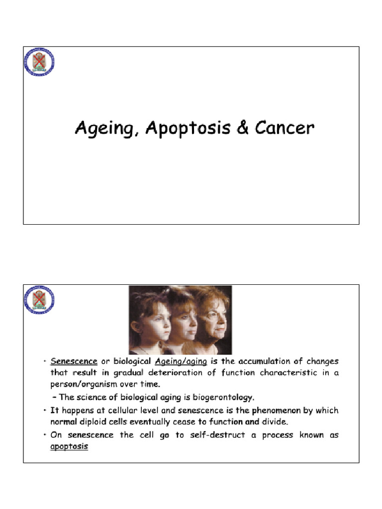 Aging Apoptosis Cancer | PDF