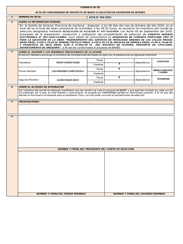 Formato #06 Comite (5) Volq. | PDF | Gobierno
