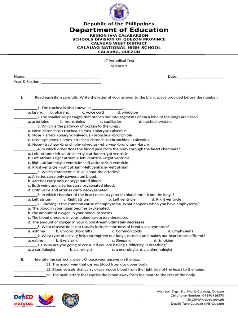 First Pt 2023 G9 | PDF | Artery | Dominance (Genetics)