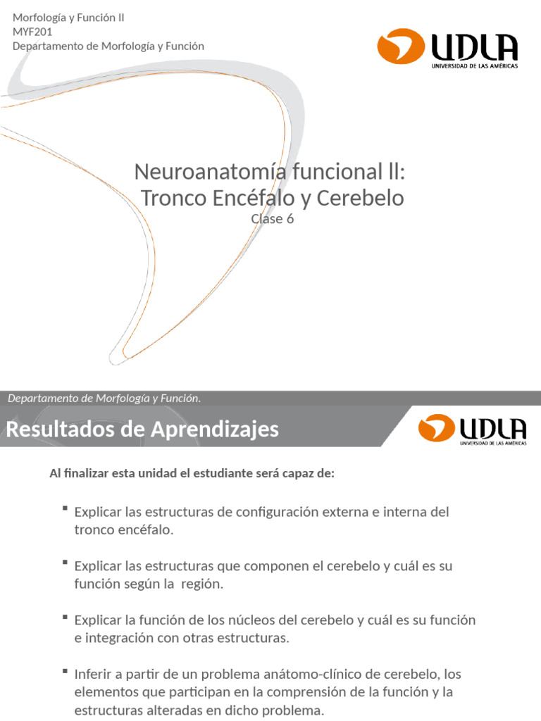 Clase 6 Neuroanatomía II Tronco Encéfalo Cerebelo MYF201 2024 | PDF | Cerebelo | Tronco encefálico