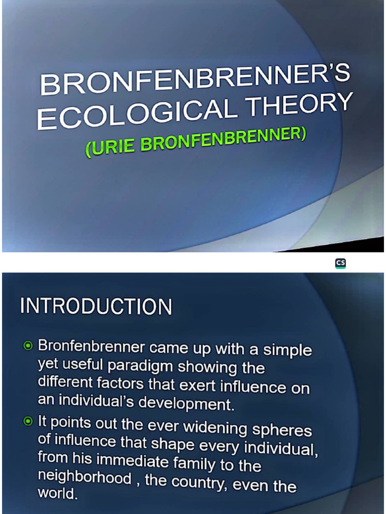 Bronfenbrenners Theory | PDF