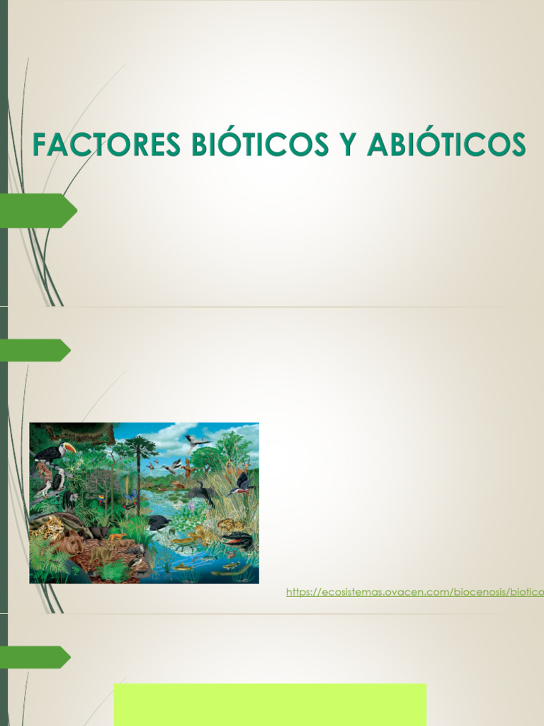 Factores Bióticos y Abióticos Grado Cuarto OK | PDF | Ecosistema | Entorno natural