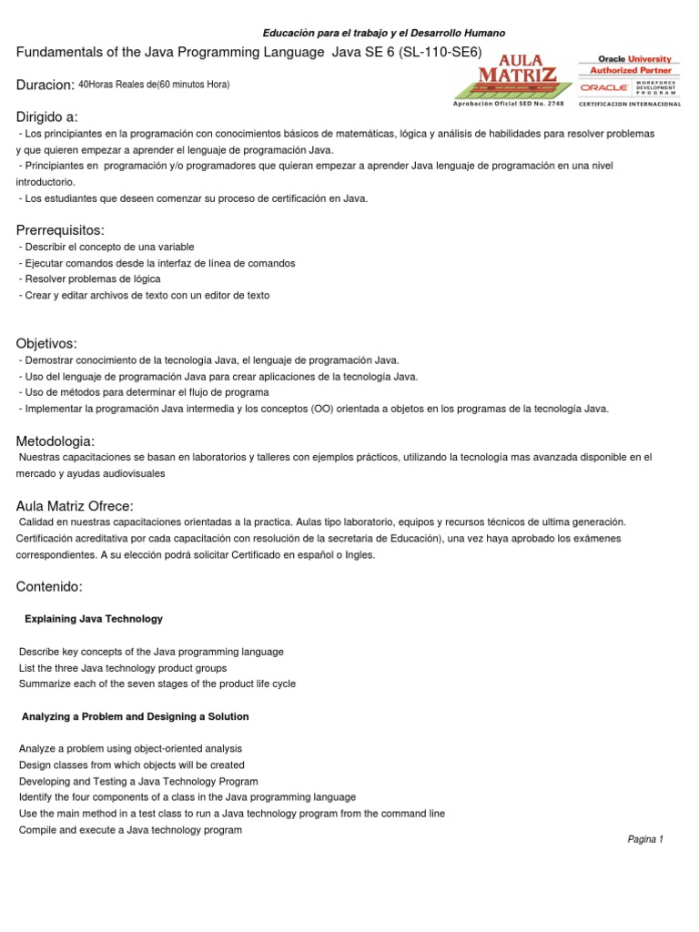 Capacitacion Fundamentals of The Java Programming Language Java SE 6 (SL-110-SE6) | Descargar ...