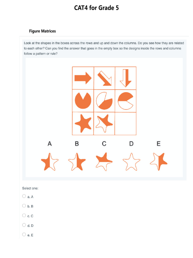 Do - CAT4 For G5-05-Figure Matrices 1 | PDF