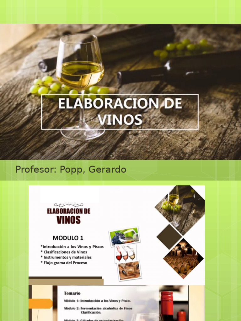 Vinos | PDF