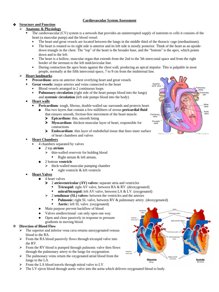 Cardiovascular System Assessment | PDF | Heart Valve | Heart
