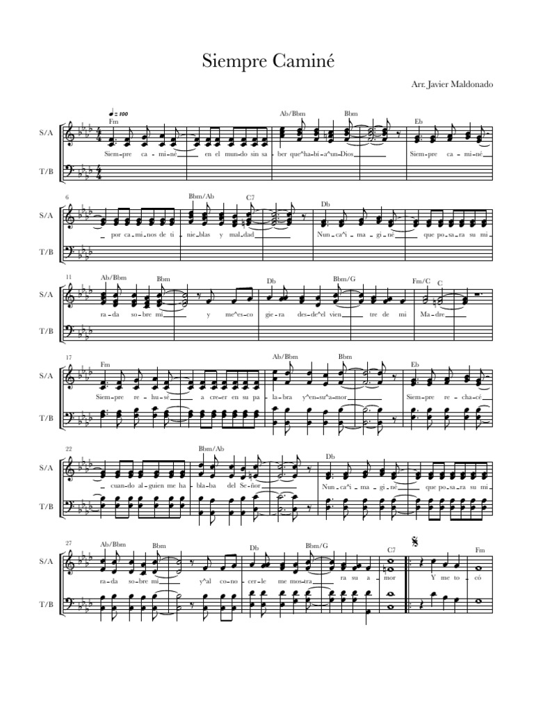 Siempre Caminé | PDF