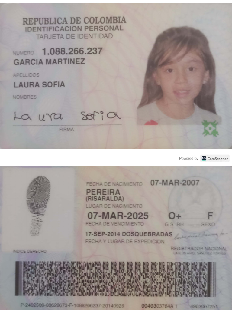 Tarjeta de Identidad Laura Sofía García Martínez | PDF