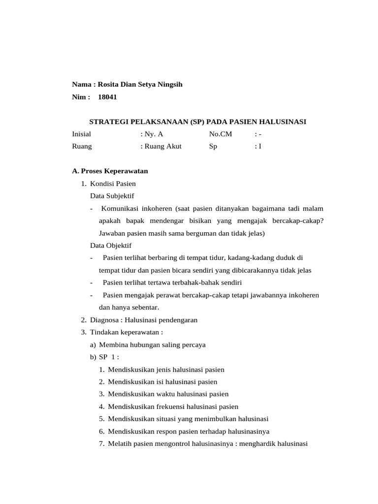 Strategi Pelaksanaan Halusinasi Sp 1-4 | PDF