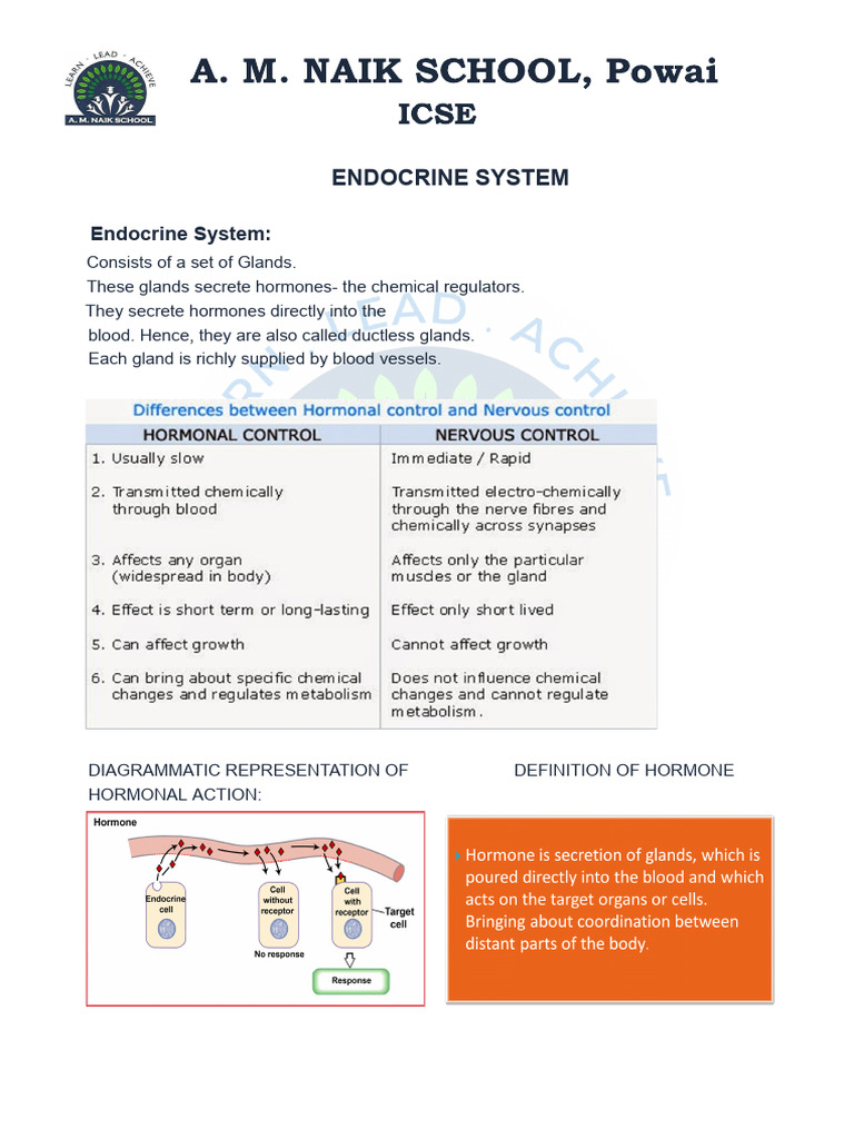 Grade 10 Biology Points To Remember Endocrine System Docx | PDF | Home ...