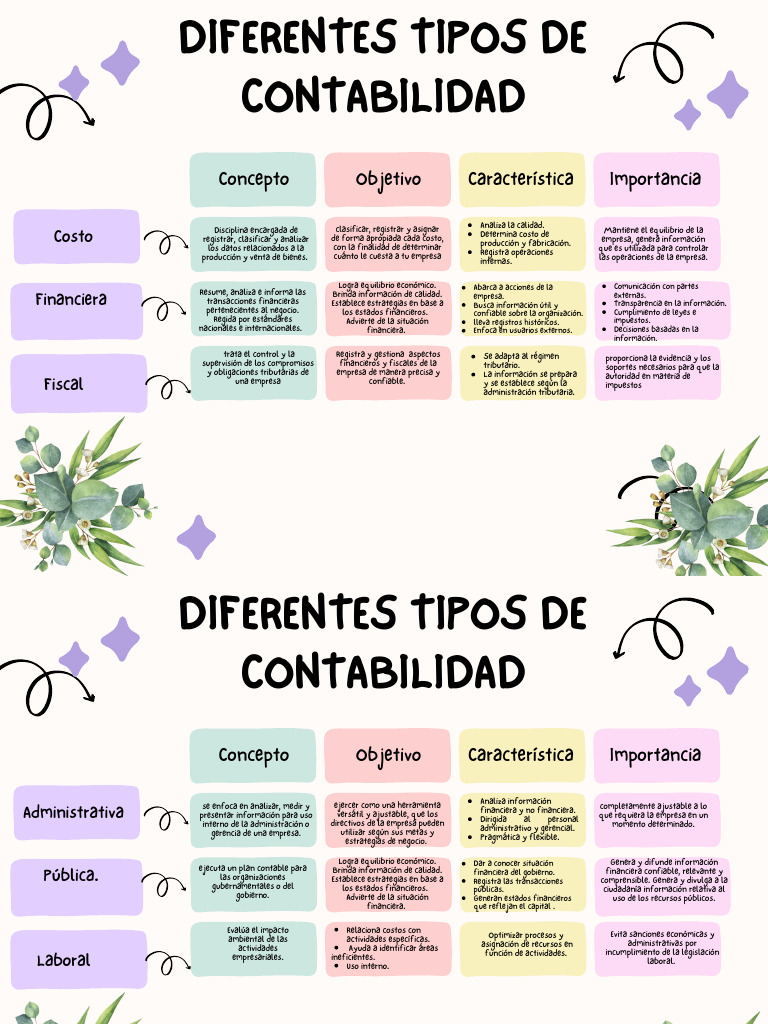 Tipos de Contabilidad | PDF | Contabilidad | Business