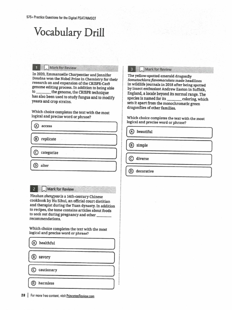 Vocabulary Drills | PDF