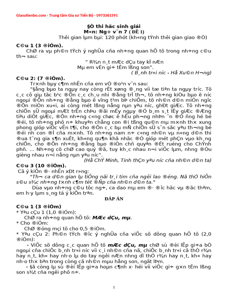 12 de Thi HSG Ngu Van 7 Co Dap An | PDF