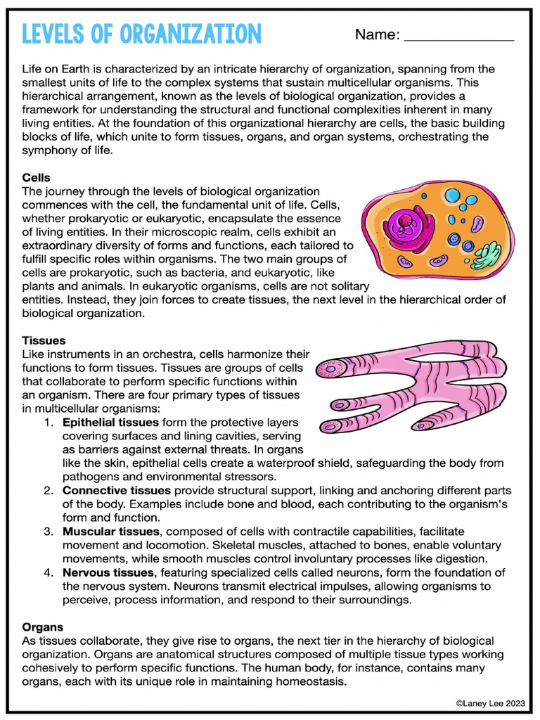 Biological Levels of Organization Reading | PDF | Human Body | Tissue ...