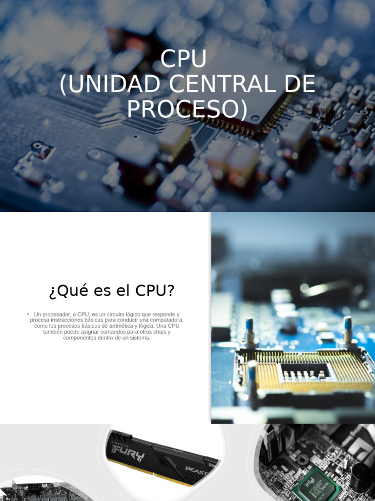 Componentes y Funciones del CPU | PDF
