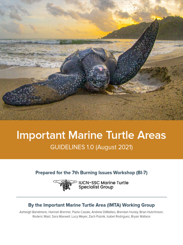 Guidelines for Important Marine Turtle Areas | PDF | Conservation ...