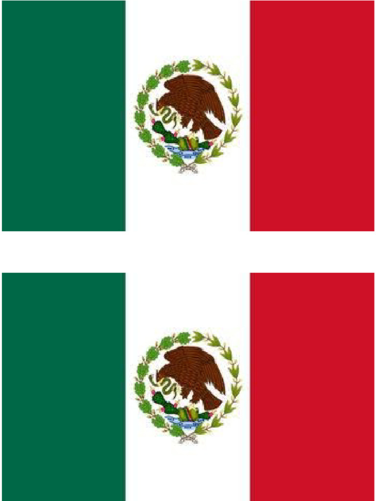 Bandera | PDF