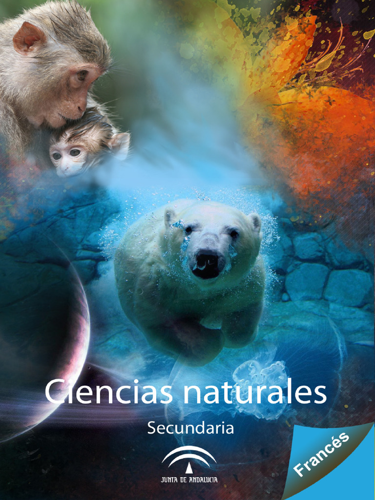 082 | PDF | Calor | Temperatura