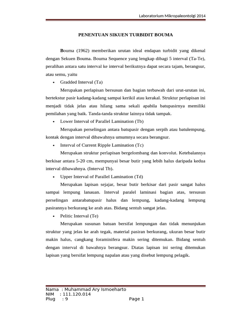 Sekuen Bouma dalam Endapan Turbidit | PDF | Ilmu Sosial | Seni