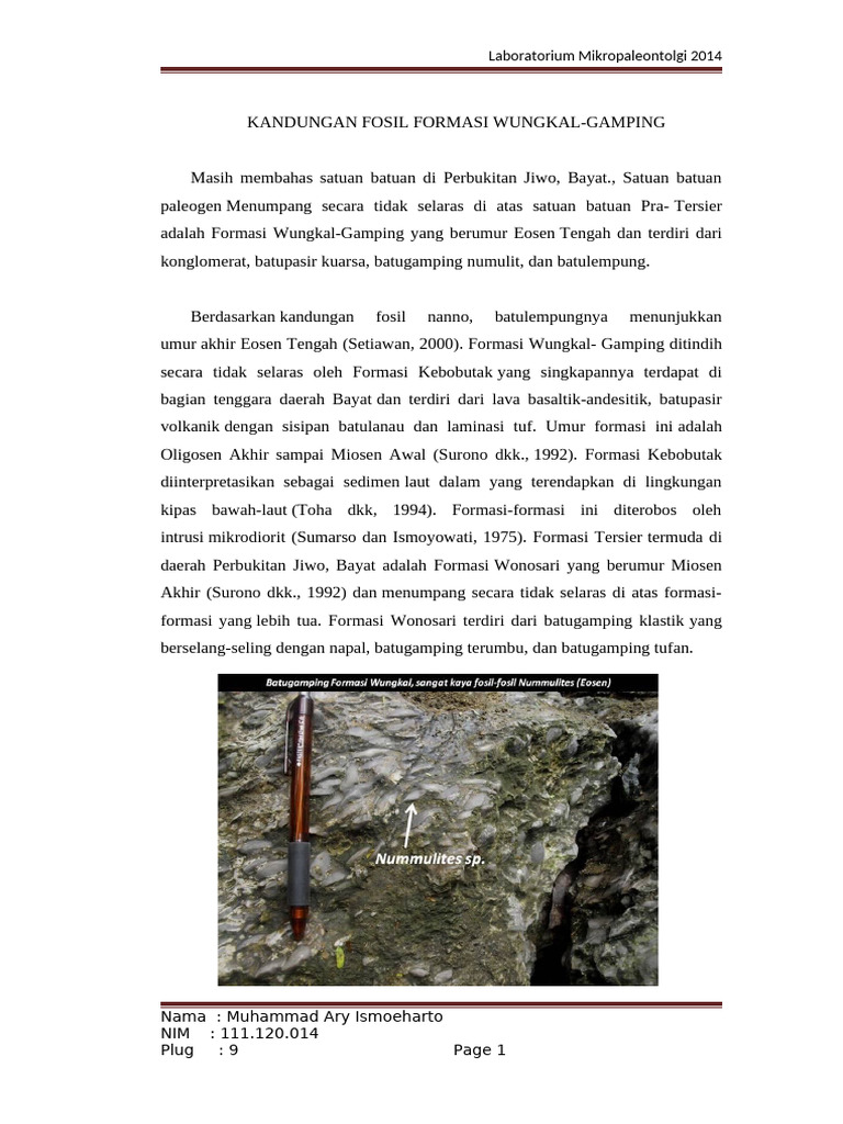 Fosil Eosen di Formasi Wungkal-Gamping | PDF | Sains & Matematika