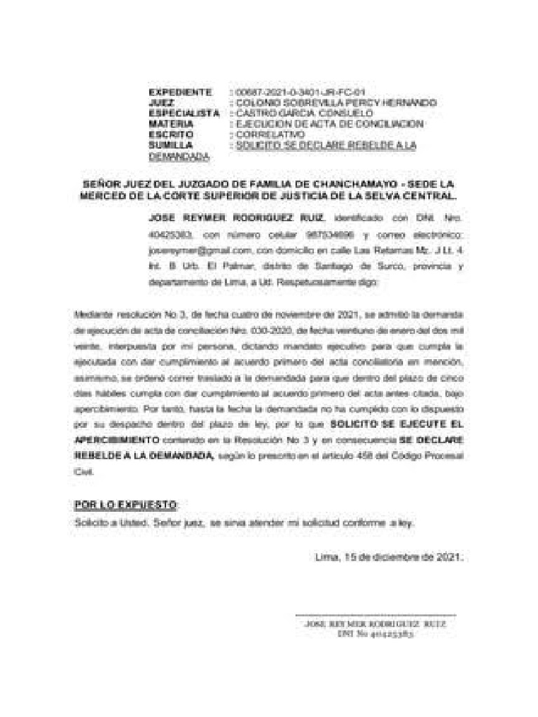 PDFReader 20241112 2215 | PDF