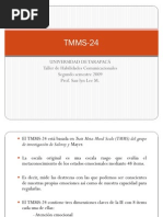 Ficha Tecnica Del TMMS-24 | PDF