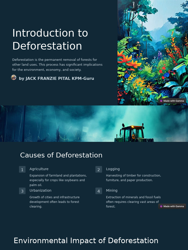 Introduction to Deforestation Issues | PDF | Deforestation | Forests