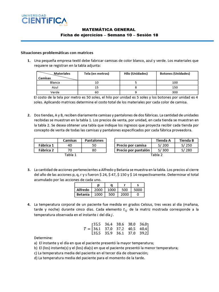FICHA 15 - Mat Gral - Sem10 - Sesión 19 (Sit. Prob - Matrices) | PDF