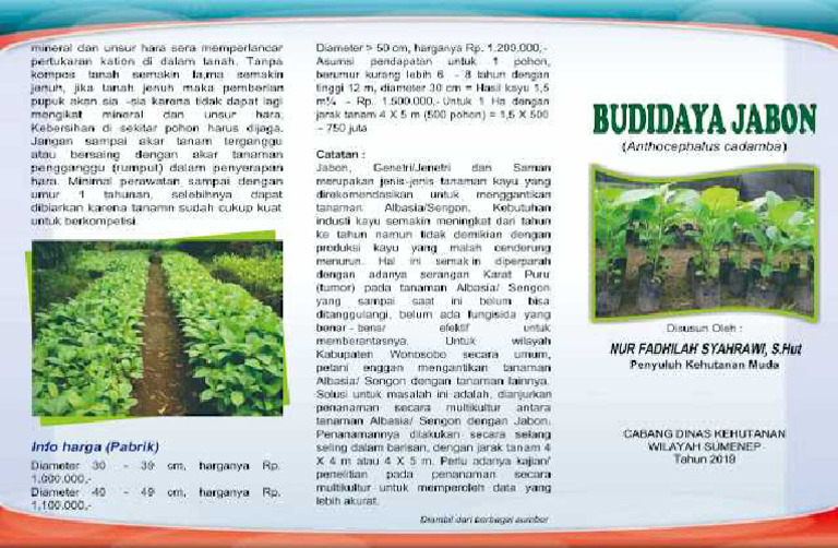 Leafleat Jabon | PDF