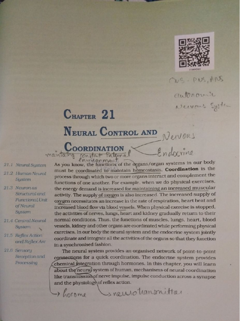 Neural Control | PDF