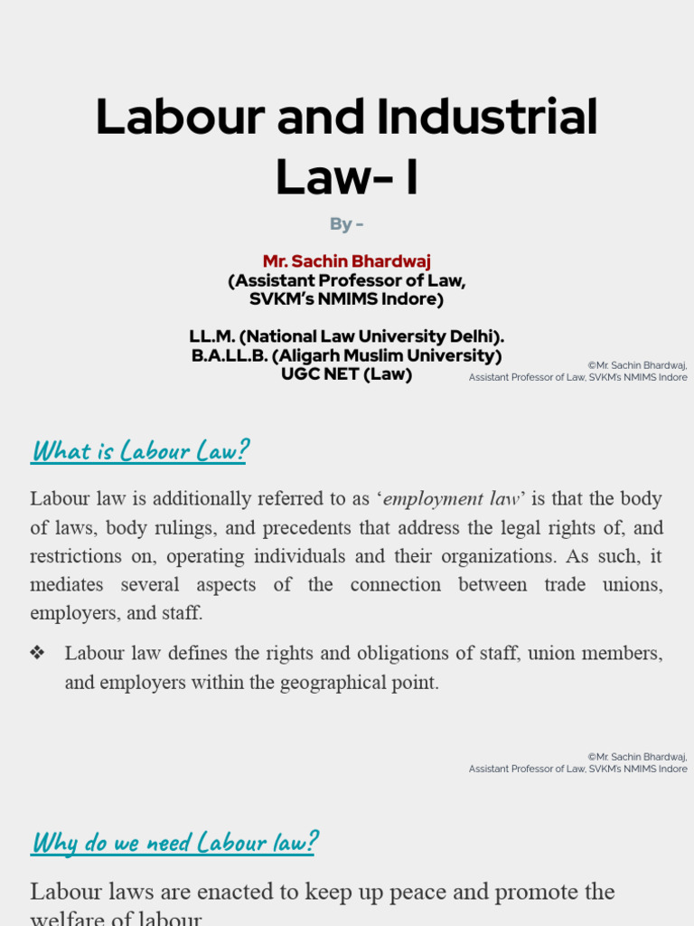 Introduction | PDF | Labour Law | Employment
