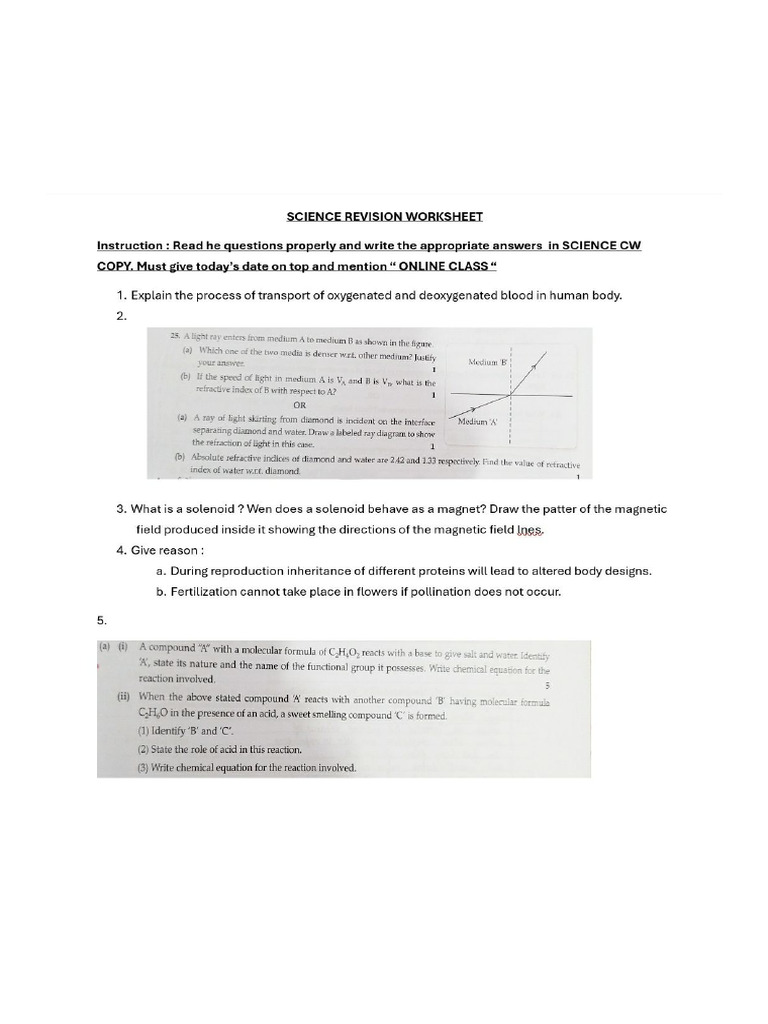 Science Class X | PDF