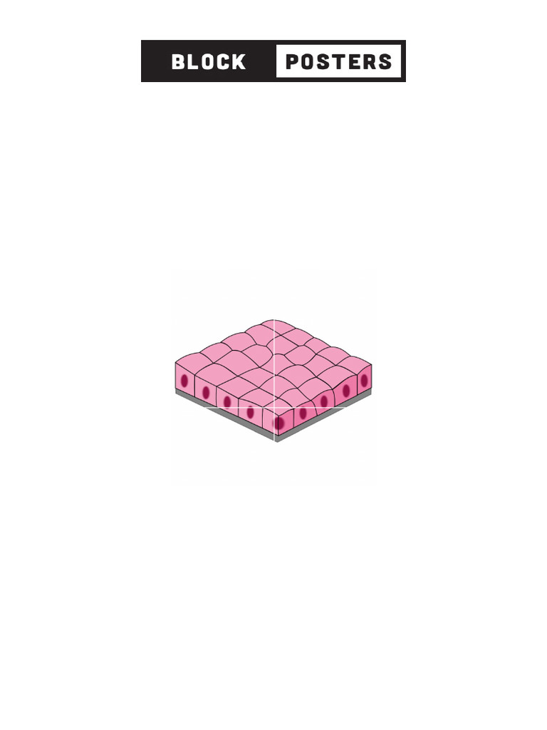 Blockposter 031120 | PDF