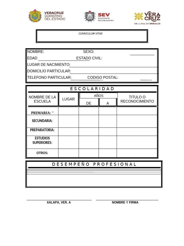 Curriculum Vitae Sev | PDF