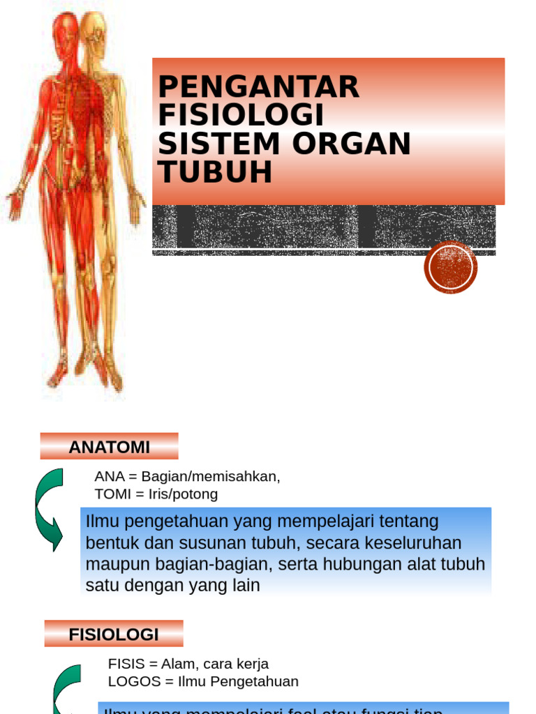 Pengantar ANATOMI DASAR DAN FISIOLOGI | PDF | Ilmu Sosial | Kesehatan Holistik