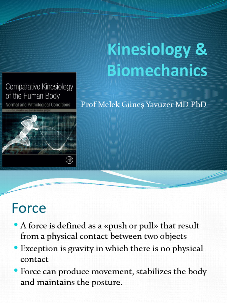 3 Kinesiology&Biomechanics | PDF | Force | Cartilage