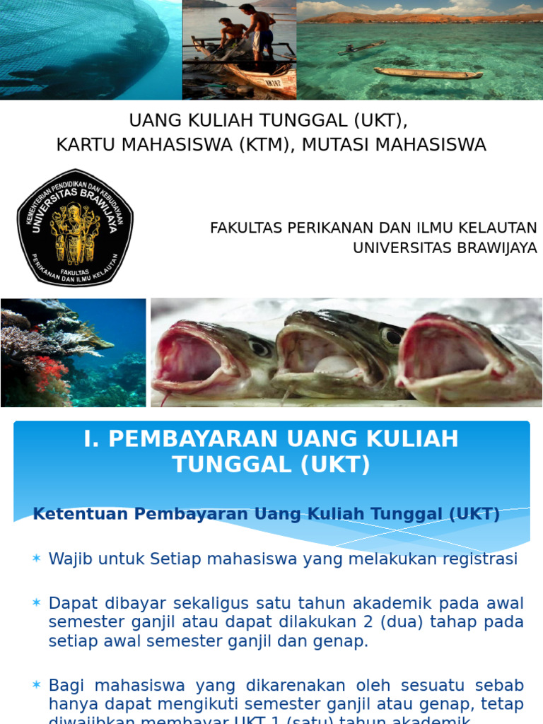Ketentuan UKT dan Mutasi Mahasiswa UB | PDF