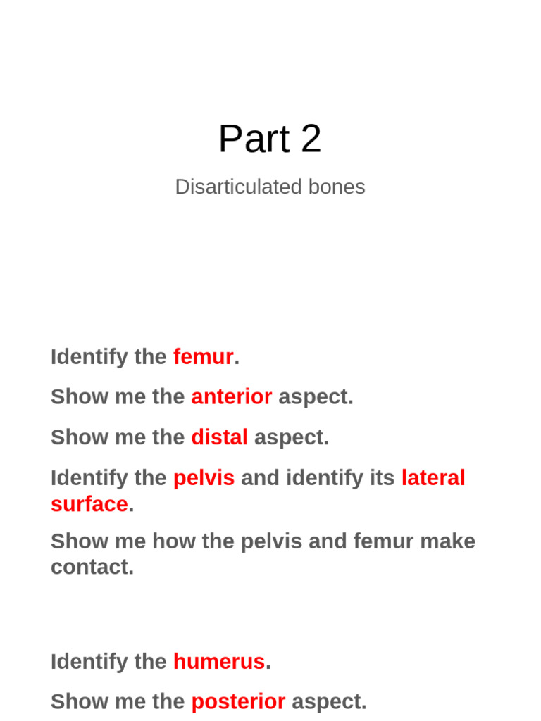 Disarticulated Bones Practice | PDF