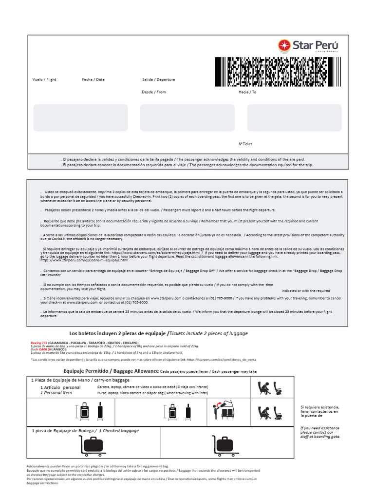 Boarding Pass Preview | PDF | Aviación