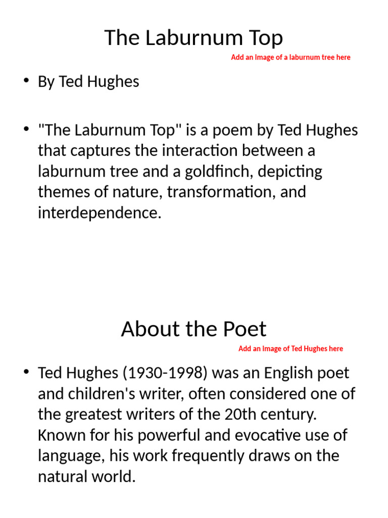 The Laburnum Top Presentation | PDF | Poetry