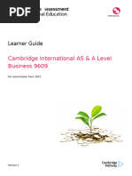 Cambridge Business 9609 Syllabus 2025 | PDF | Marketing | Entrepreneurship