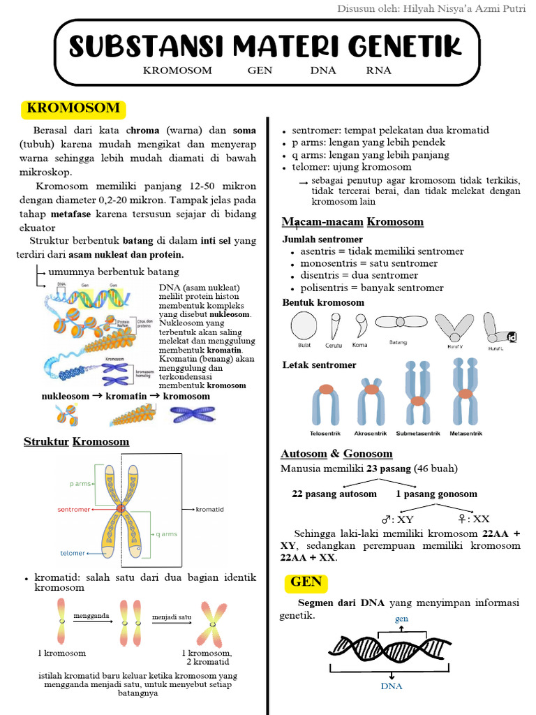 Rangkuman Substansi Materi Genetik | PDF