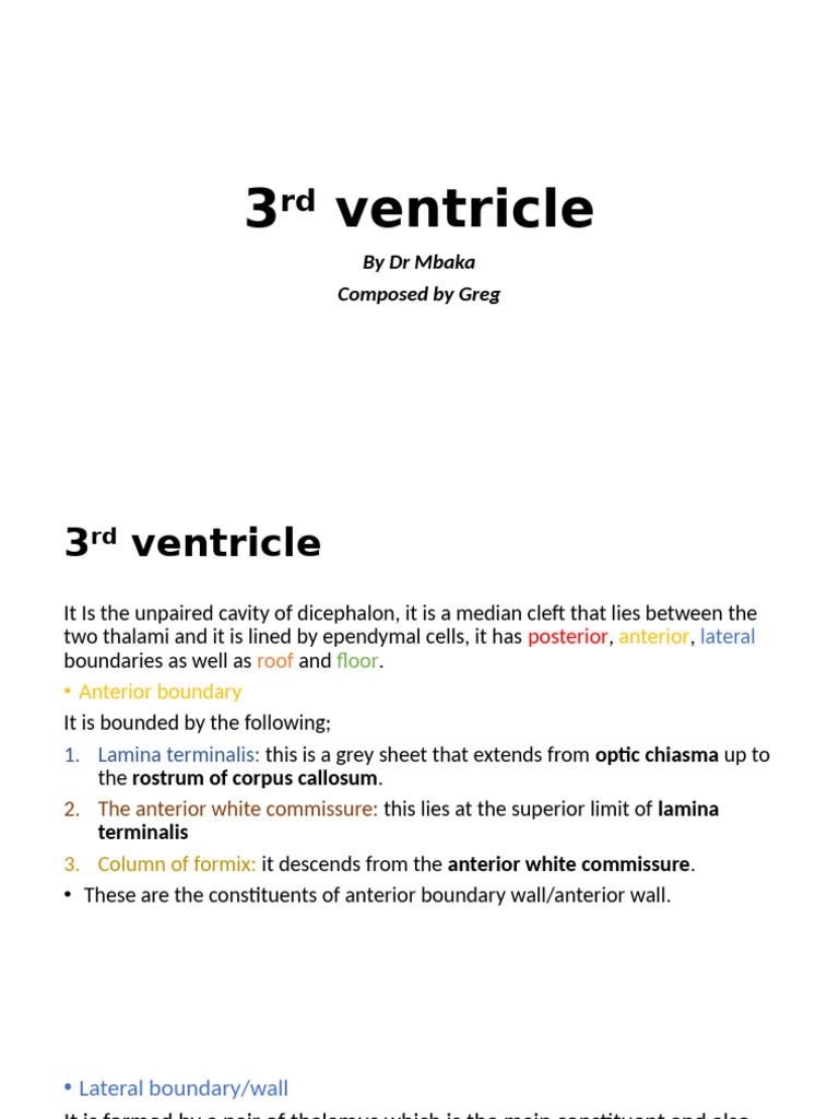 Anatomy of the 3rd Ventricle Explained | PDF | Science & Mathematics