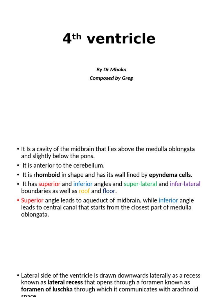 Anatomy of the 4th Ventricle | PDF | Cerebrospinal Fluid | Brain