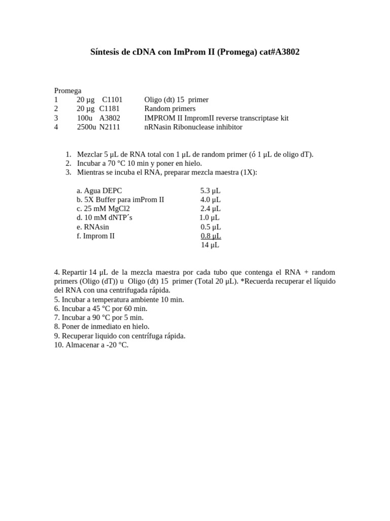 Sintesis de cDNA Con ImProm II | PDF