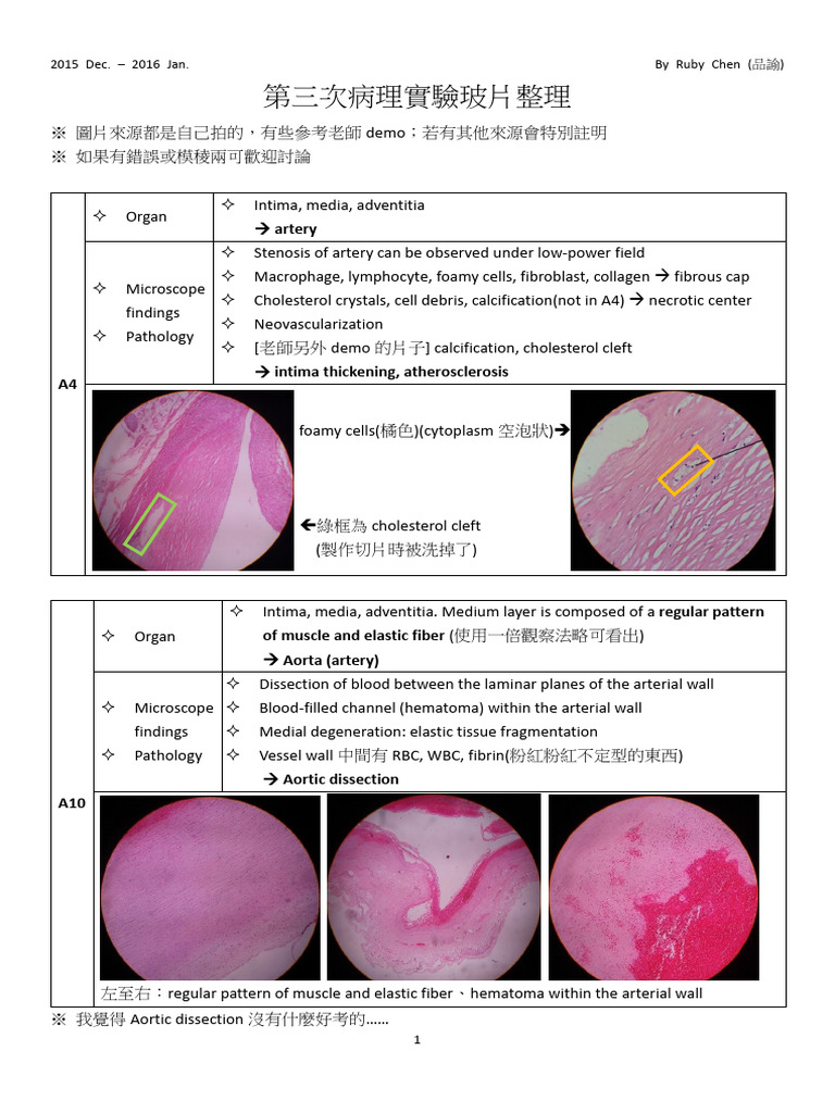 2015年3rd Exam Lab 小整理 by Ruby | PDF | Artery | Bone