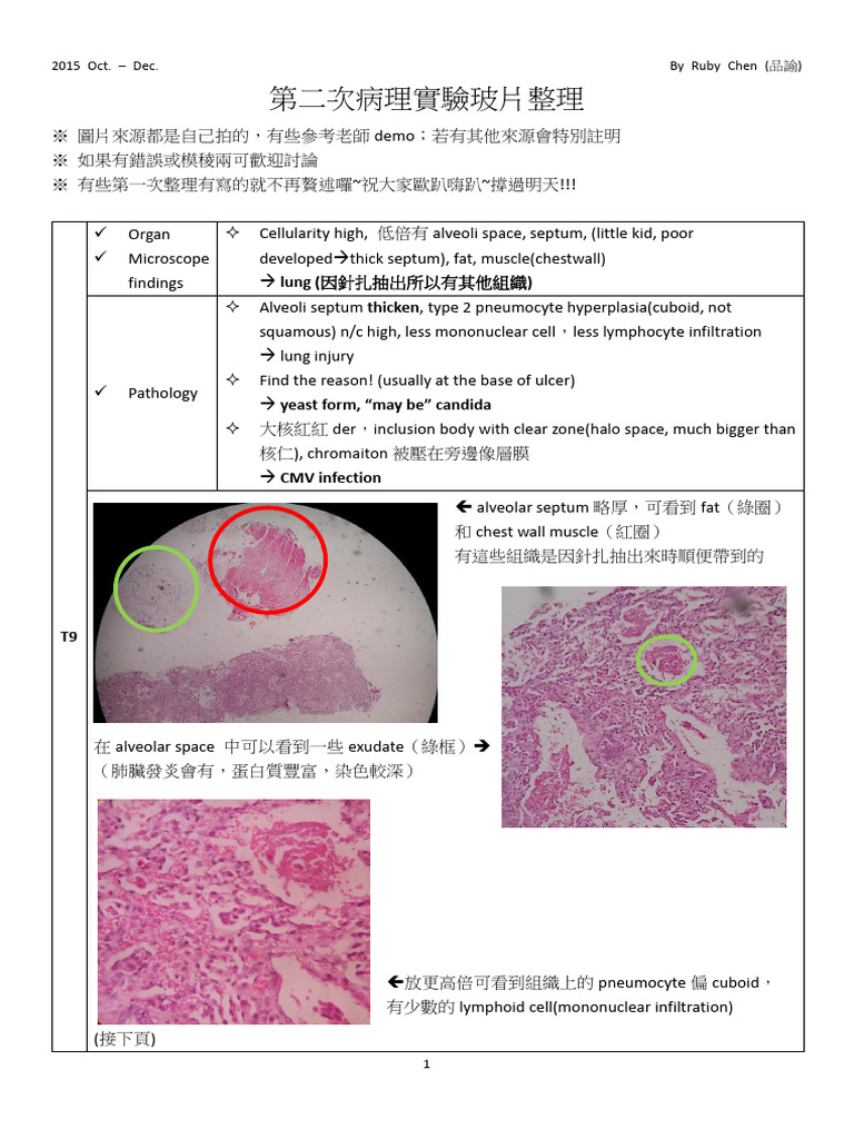 2015年2nd Exam Lab 小整理 by Ruby | PDF