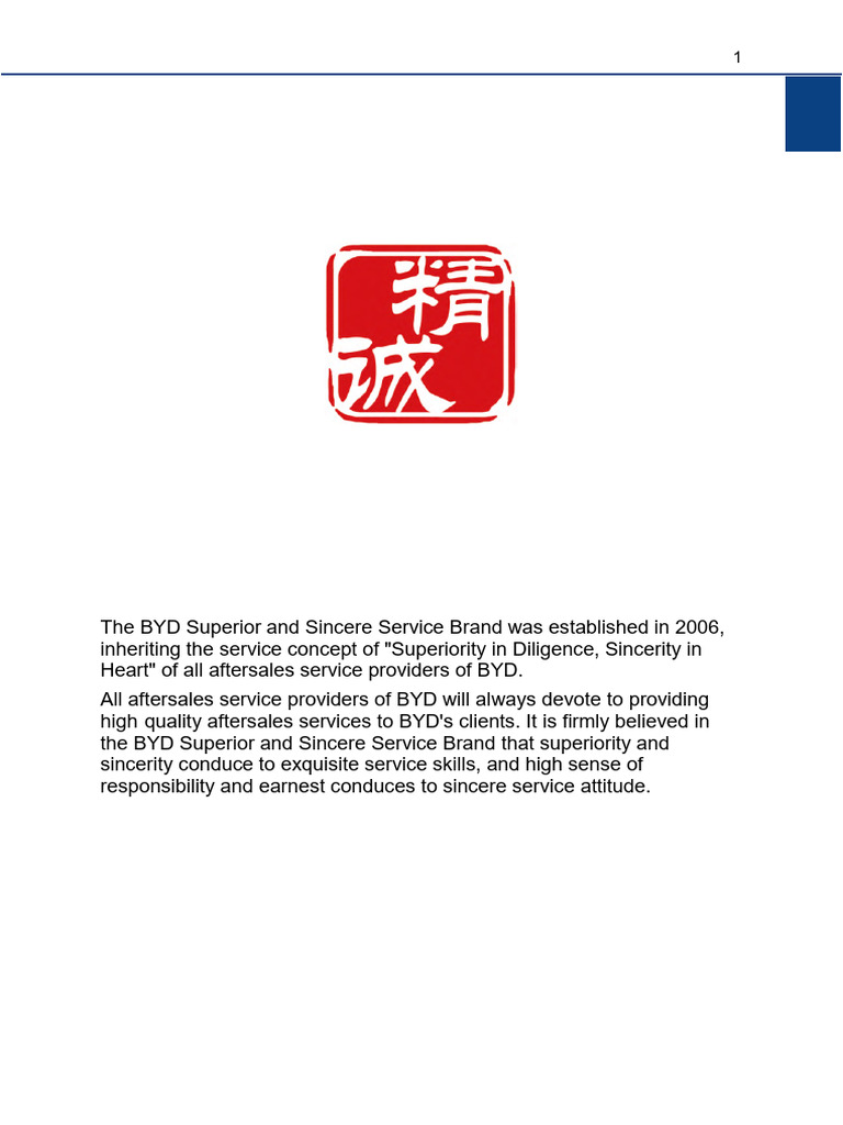 BYD Dolphin Owner's Manual Overview | PDF | Airbag | Seat Belt